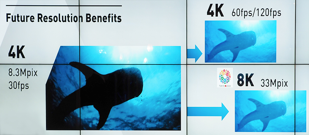 (FT3) Panasonic GH6 rumors by PersonalView – 43 Rumors